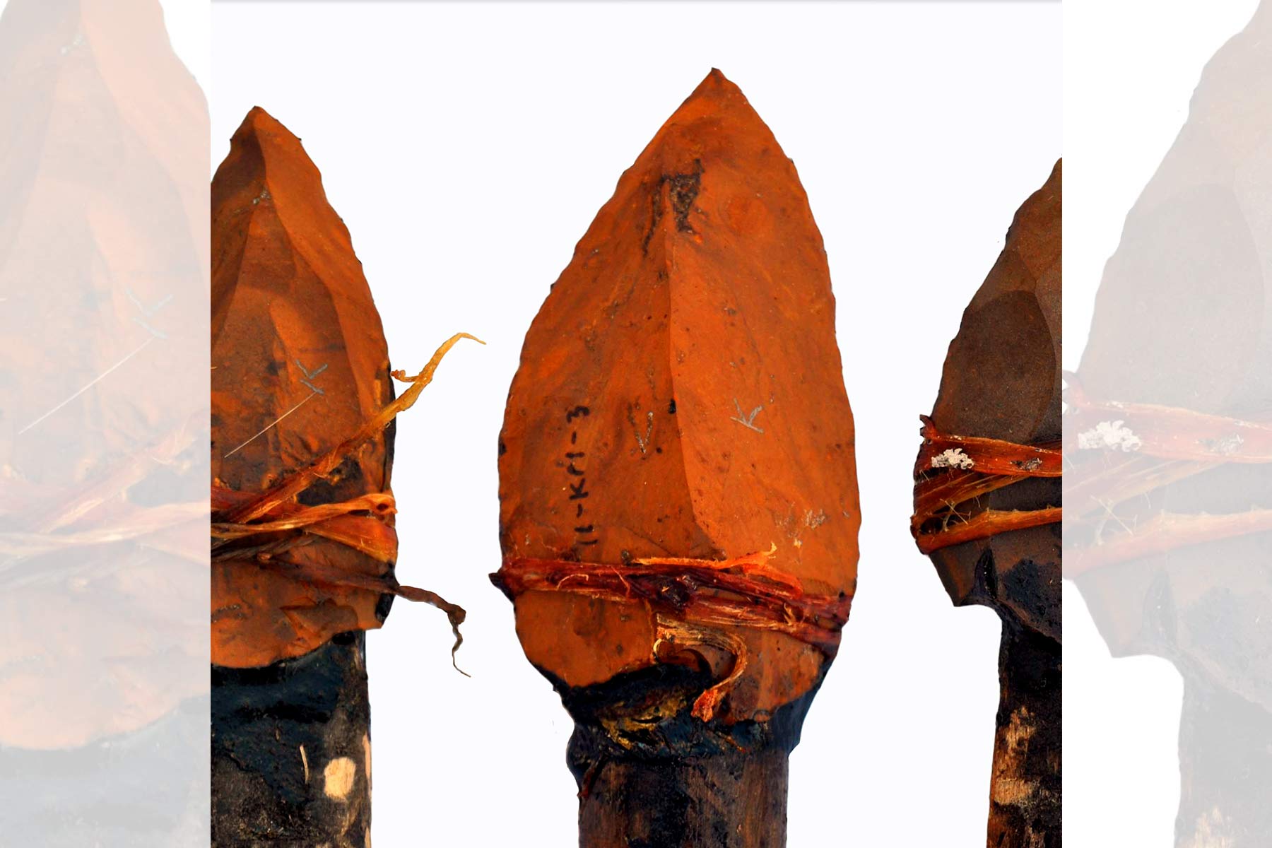 24 - Earliest known hafted hunting technology • Becoming Human