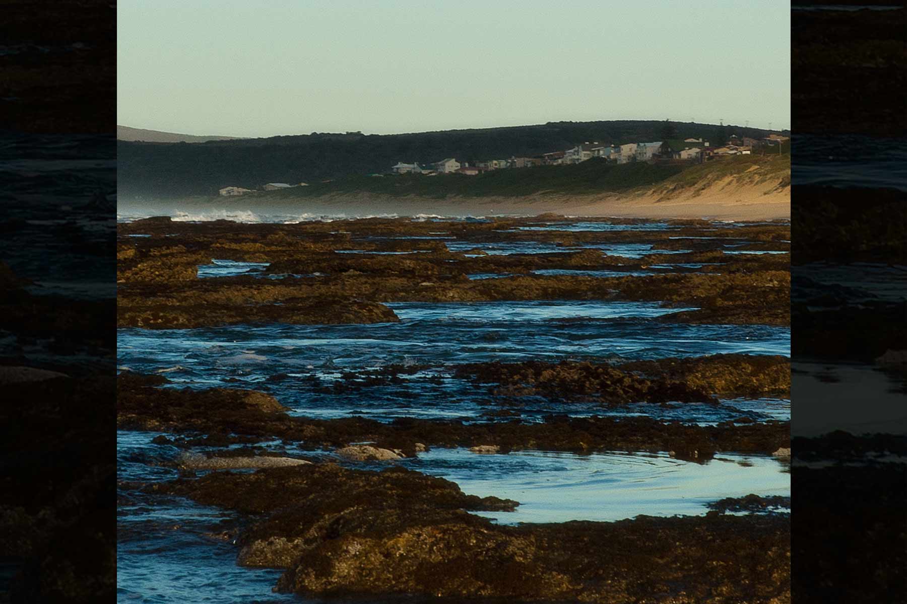 32 - Coastal foraging at Pinnacle Point, South Africa • Becoming Human