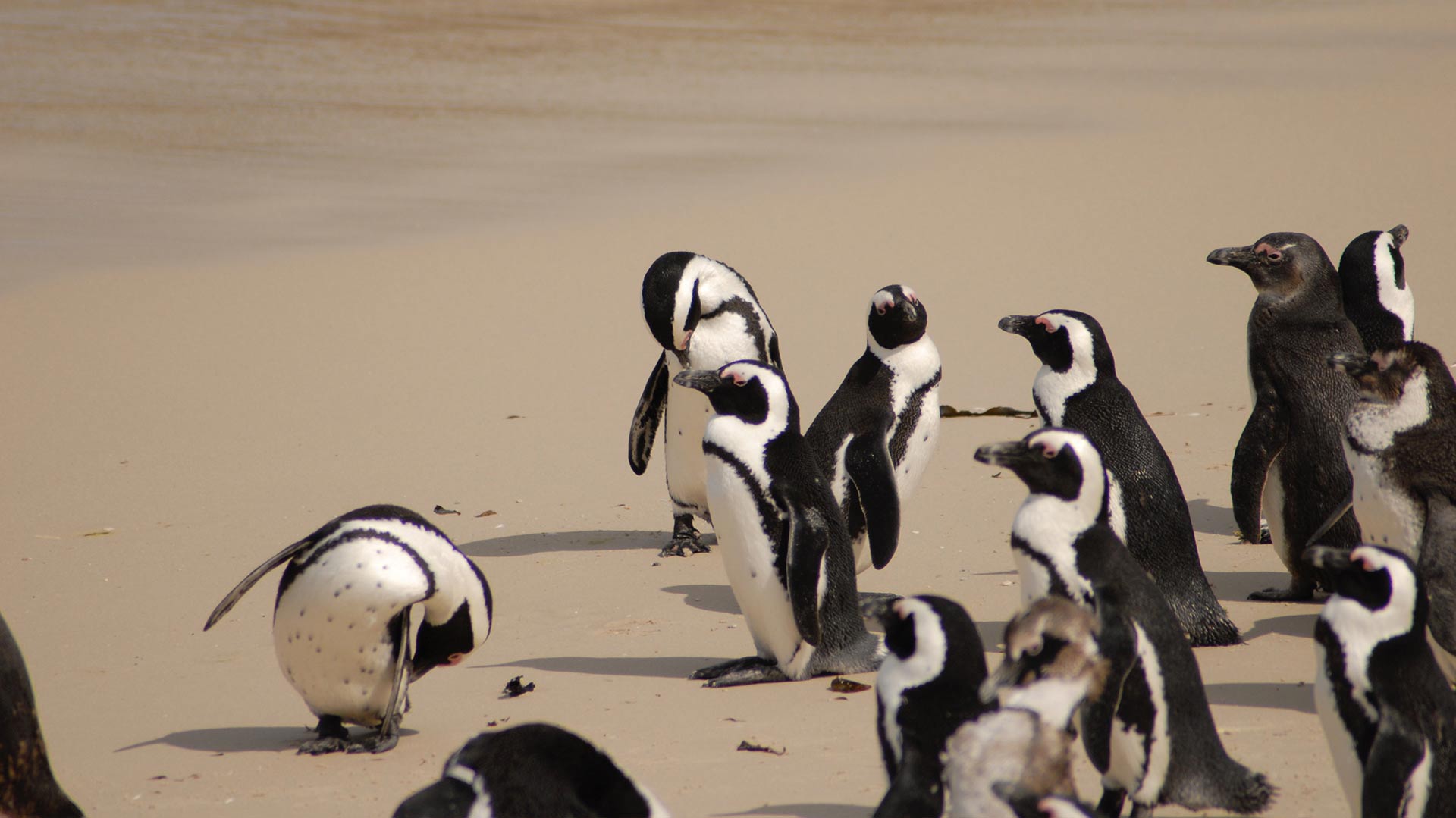 Events and Social Media • Becoming Human