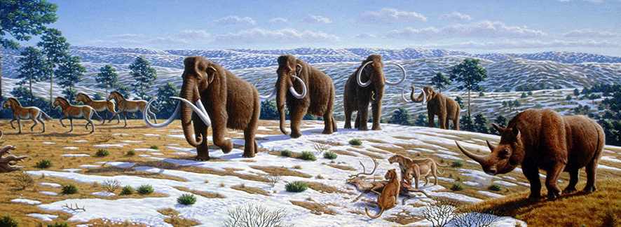 Climate Change and Human Evolution • Becoming Human